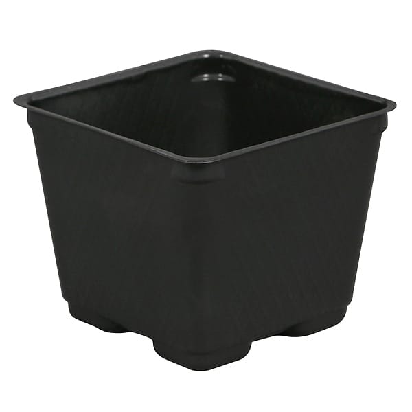 4" Square Plastic Nursery Pot | HTG Supply