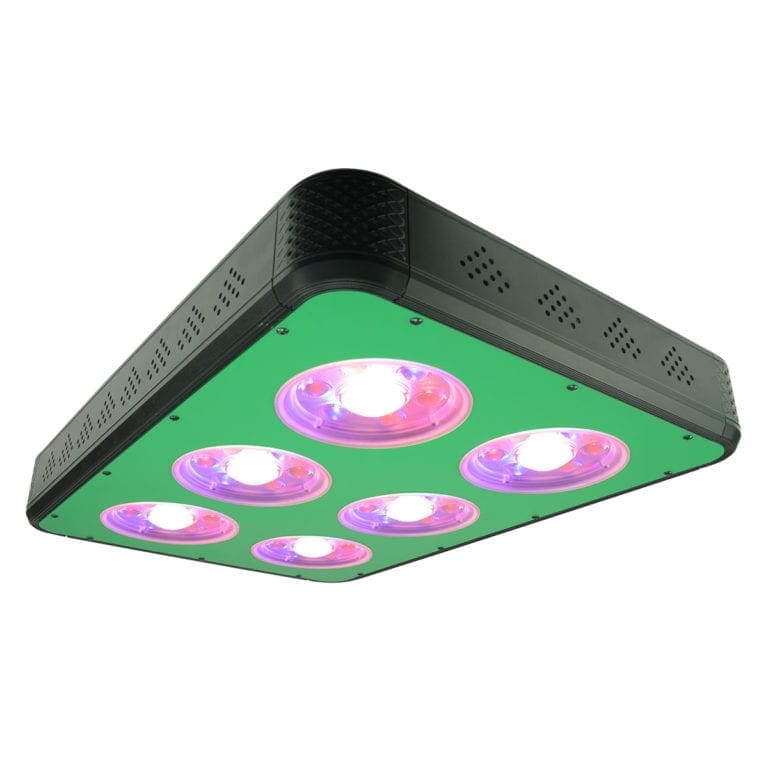 Digital Greenhouse 1000w Dimmable Grow Light | HTG Supply