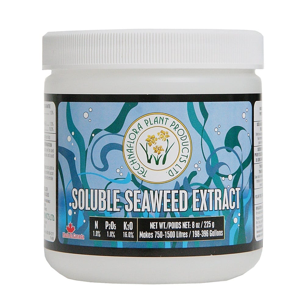 Soluble Seaweed Extract | HTG Supply
