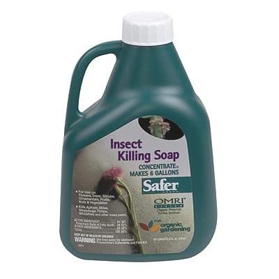 Insect Killing Soap Concentrate | HTG Supply