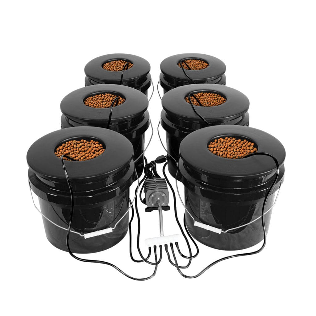 DWC System by Bubble Brothers | Shop 6 Pot DWC Grow System | HTG Supply