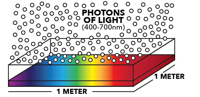 LANGUAGE OF LIGHT FOR PLANTS | HTG Supply Hydroponics & Grow Lights