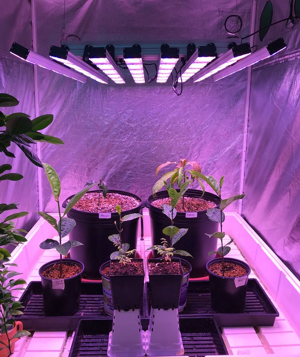 TOP LED GROW LIGHT TECHNOLOGY | HTG Supply Hydroponics & Grow Lights