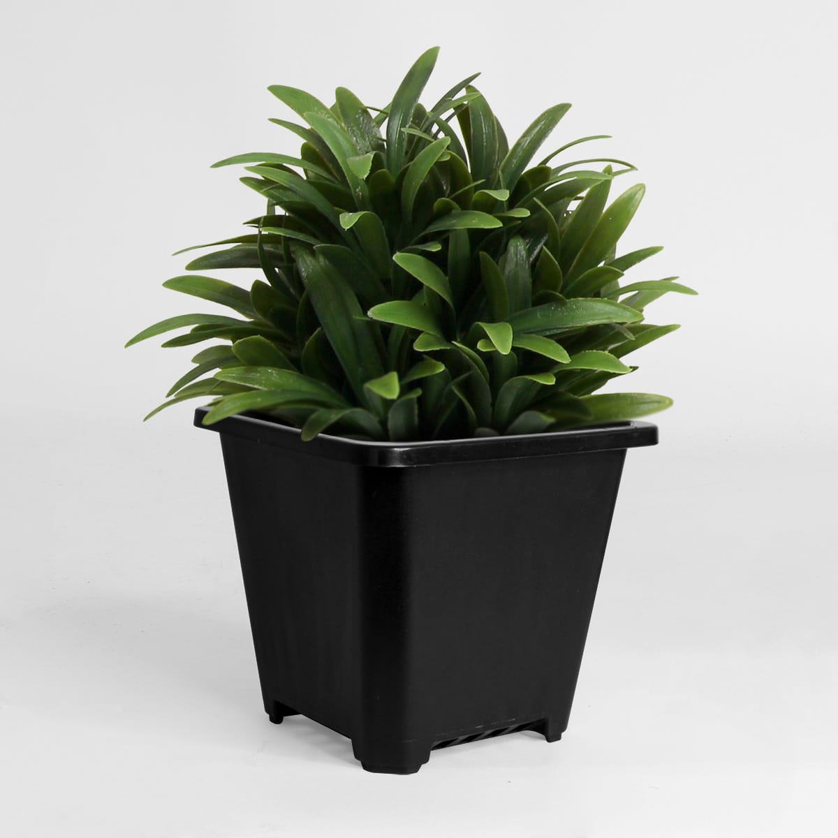 HTG Supply 3.5 Inch Plastic Nursery Square Pot ⋆ HTG Supply Hydroponics ...
