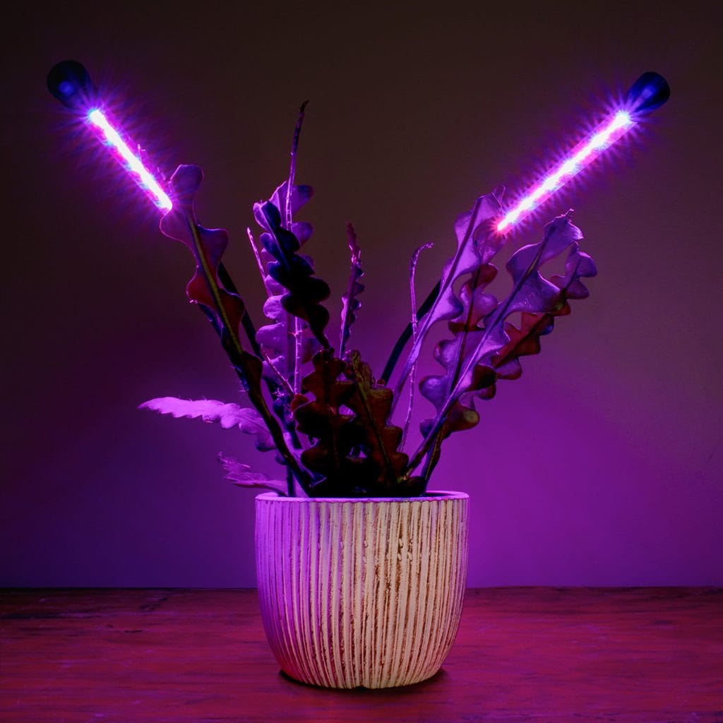 AgroMax Homeglow Flex 2 LED Grow Light | HTG Supply