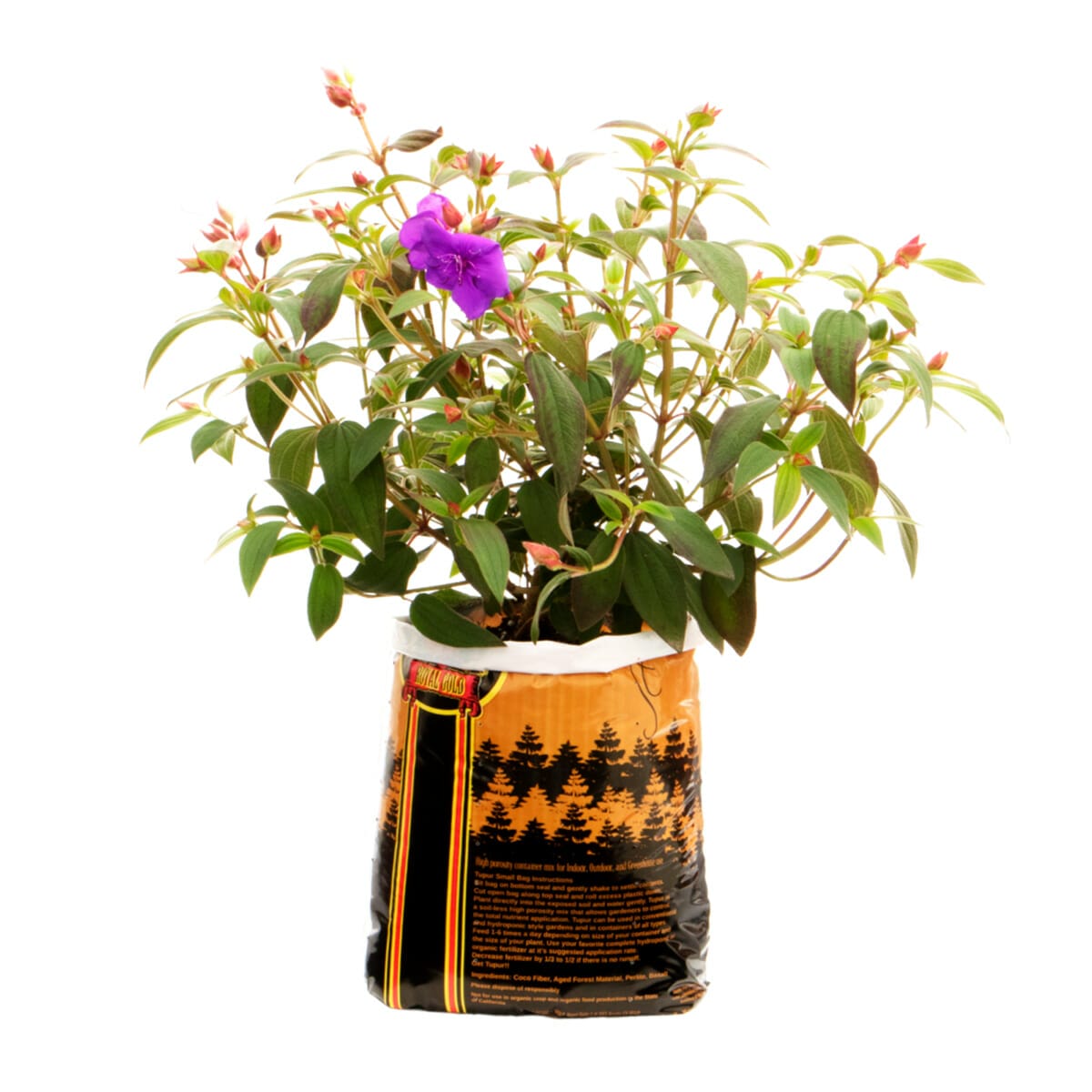 Royal Gold Tupur Fertilizer Mix - 1.7 Cubic Ft ⋆ HTG Supply Hydroponics ...